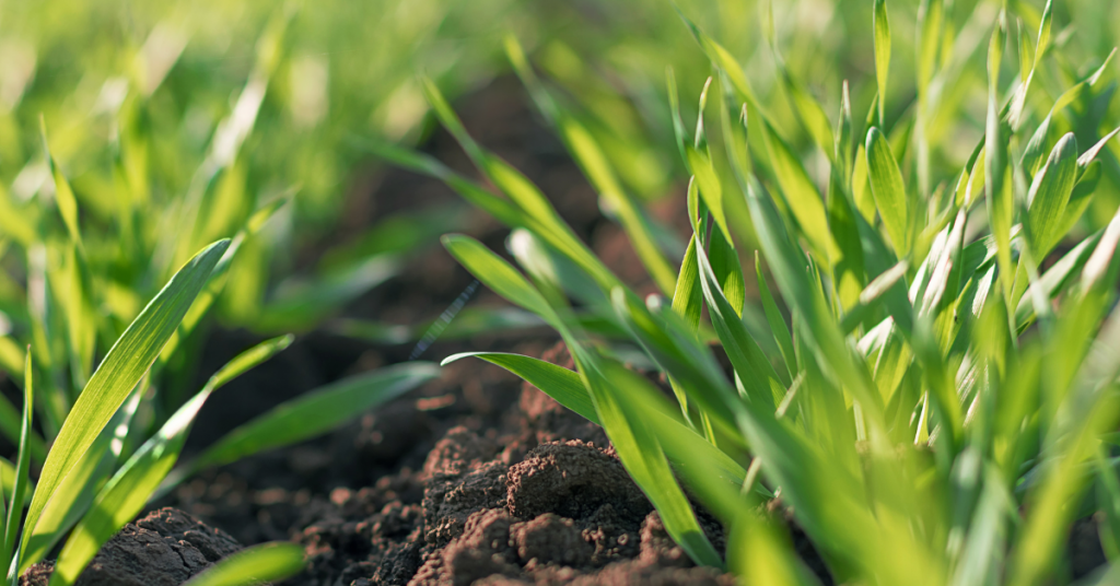 Nutrient Management – What is it and why should we do it? - Target ...